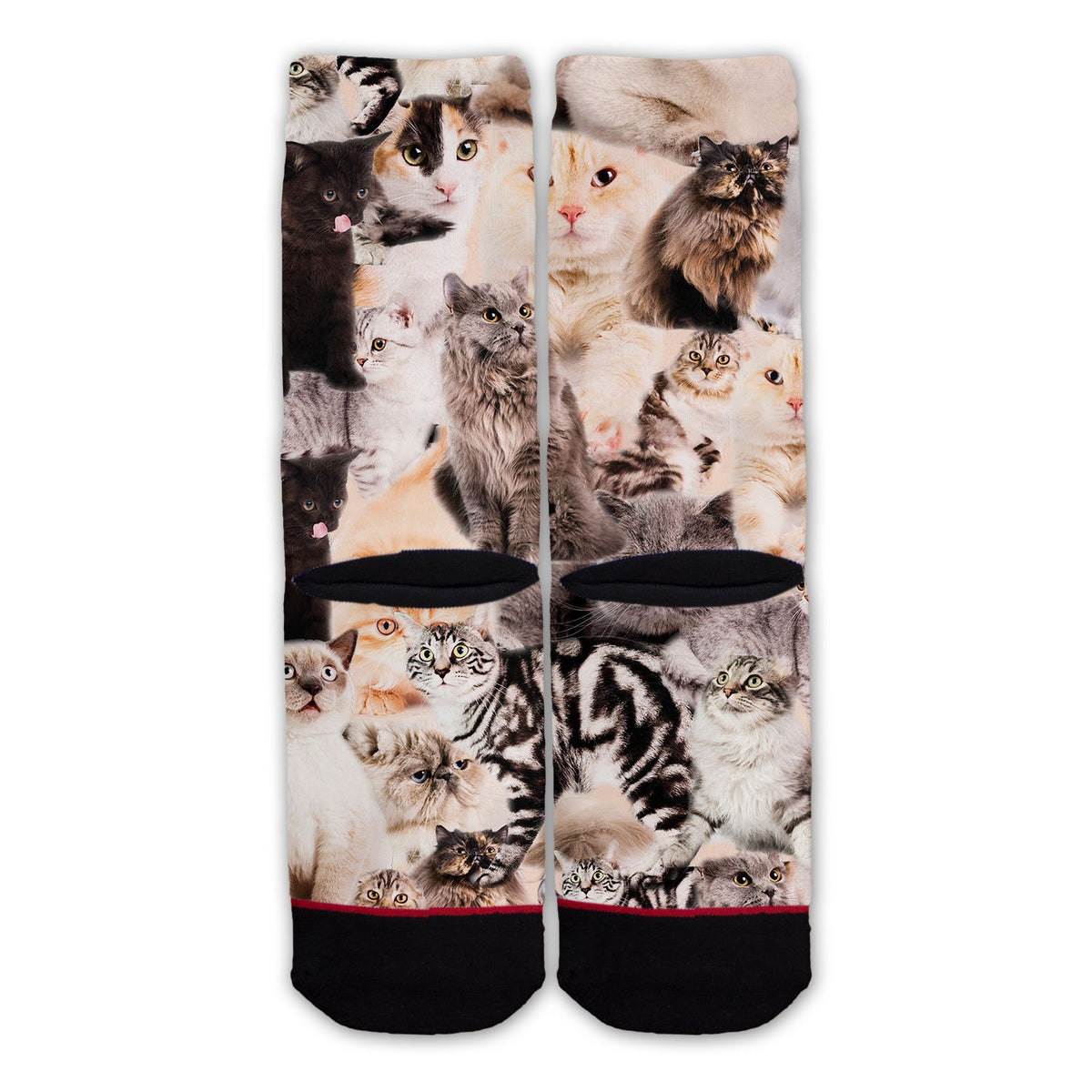 Function - Cat Collage Fashion Sock – Function Socks